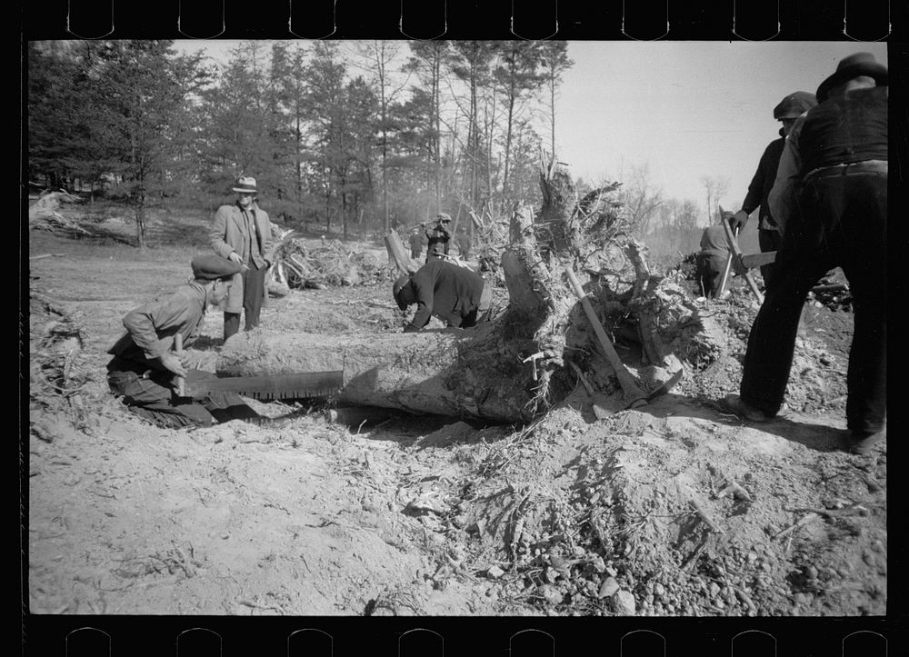 [Untitled photo, possibly related to: | Free Photo - rawpixel