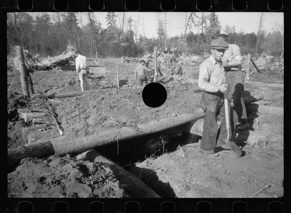 [Untitled photo, possibly related to: | Free Photo - rawpixel