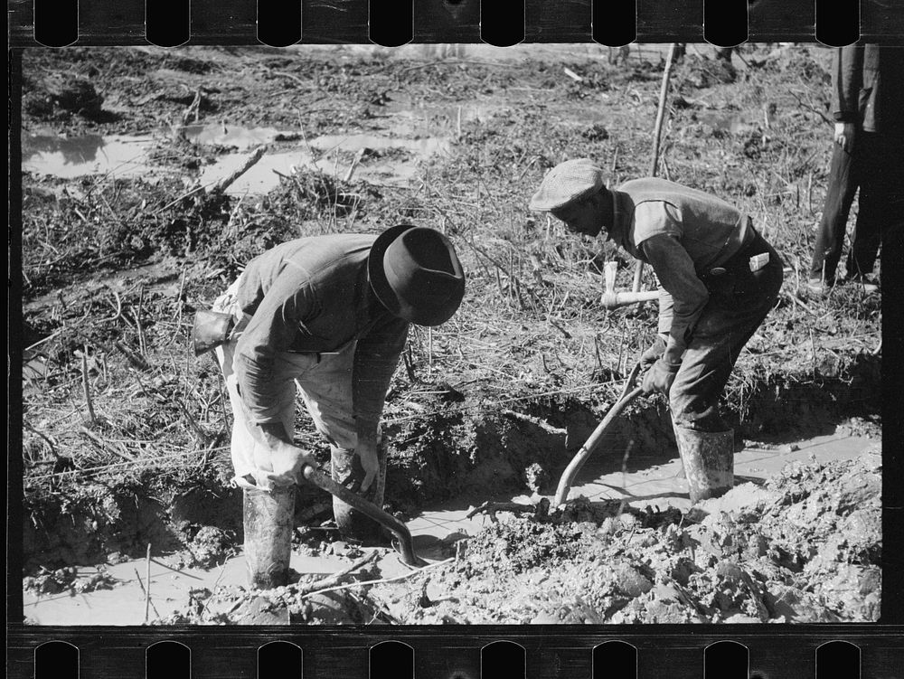 [Untitled photo, possibly related to: | Free Photo - rawpixel