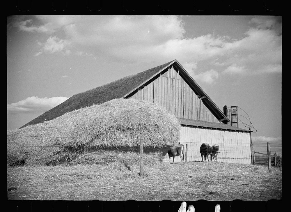 Dairy barn and outside haystack, | Free Photo - rawpixel