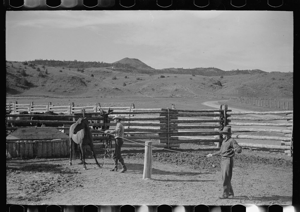 [Untitled photo, possibly related to: | Free Photo - rawpixel