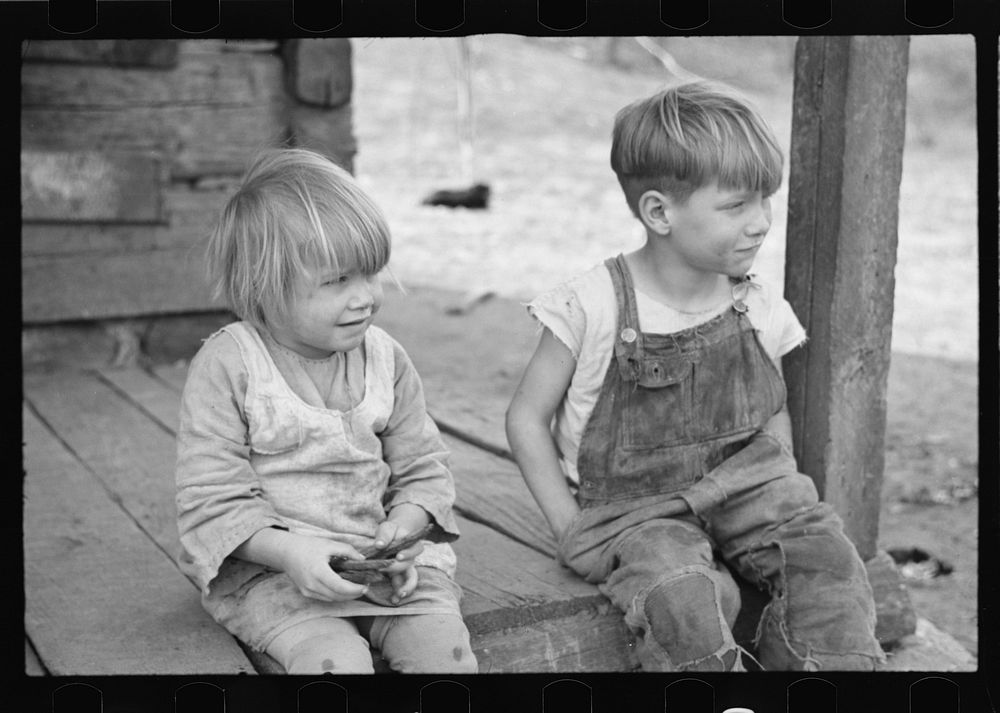 Dog Hock Images | Free Photos, PNG Stickers, Wallpapers & Backgrounds ...