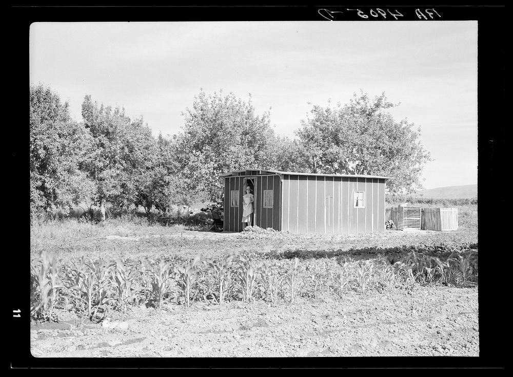 Squatter's shack and garden. Yakima, | Free Photo - rawpixel