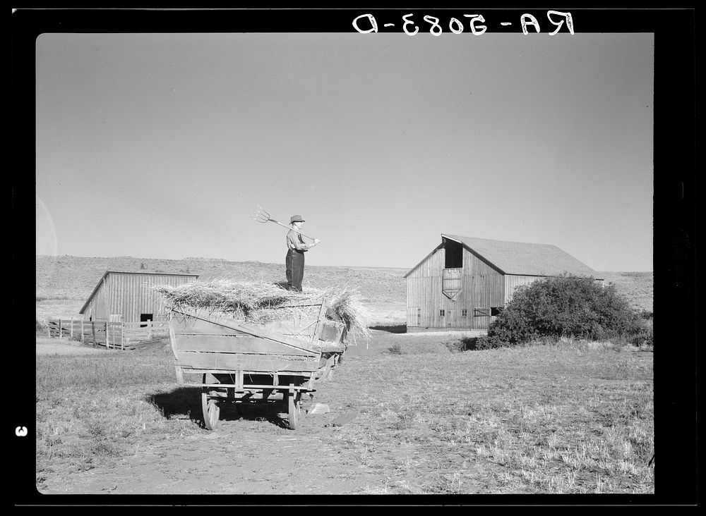 Barnyard scene farm Bickleton, Washington. | Free Photo - rawpixel