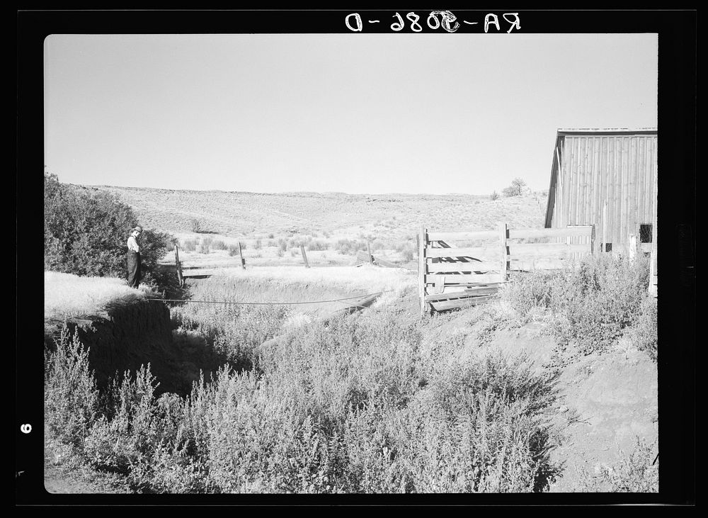 Erosion farm Bickleton, Washington. Sourced | Free Photo - rawpixel
