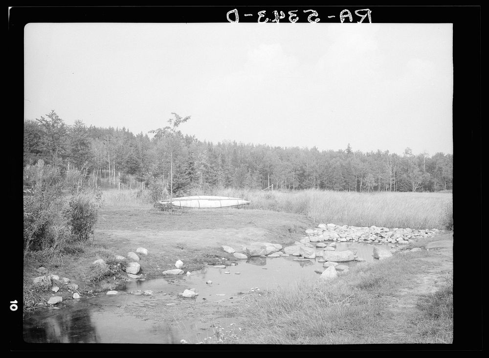Source Mississippi River. Lake Itasca, | Free Photo - rawpixel