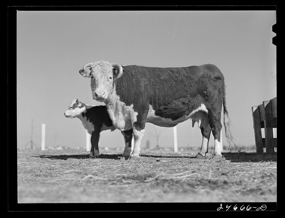 [Untitled photo, possibly related to: | Free Photo - rawpixel