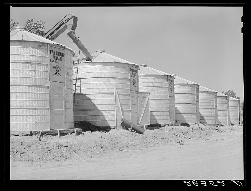 Newly-constructed field bins storing shelled | Free Photo - rawpixel