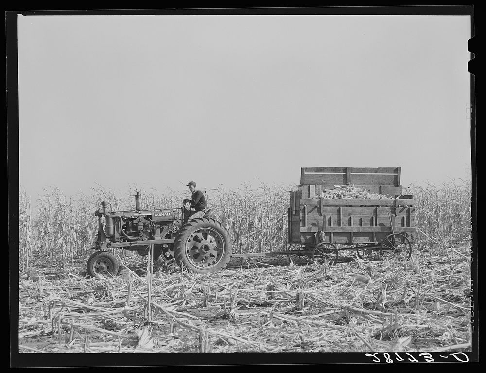 Hauling corn field. H.C. Clarke | Free Photo - rawpixel