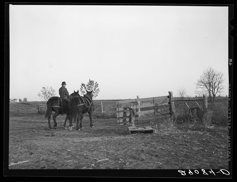 Farmer returning fields team. Osage | Free Photo - rawpixel