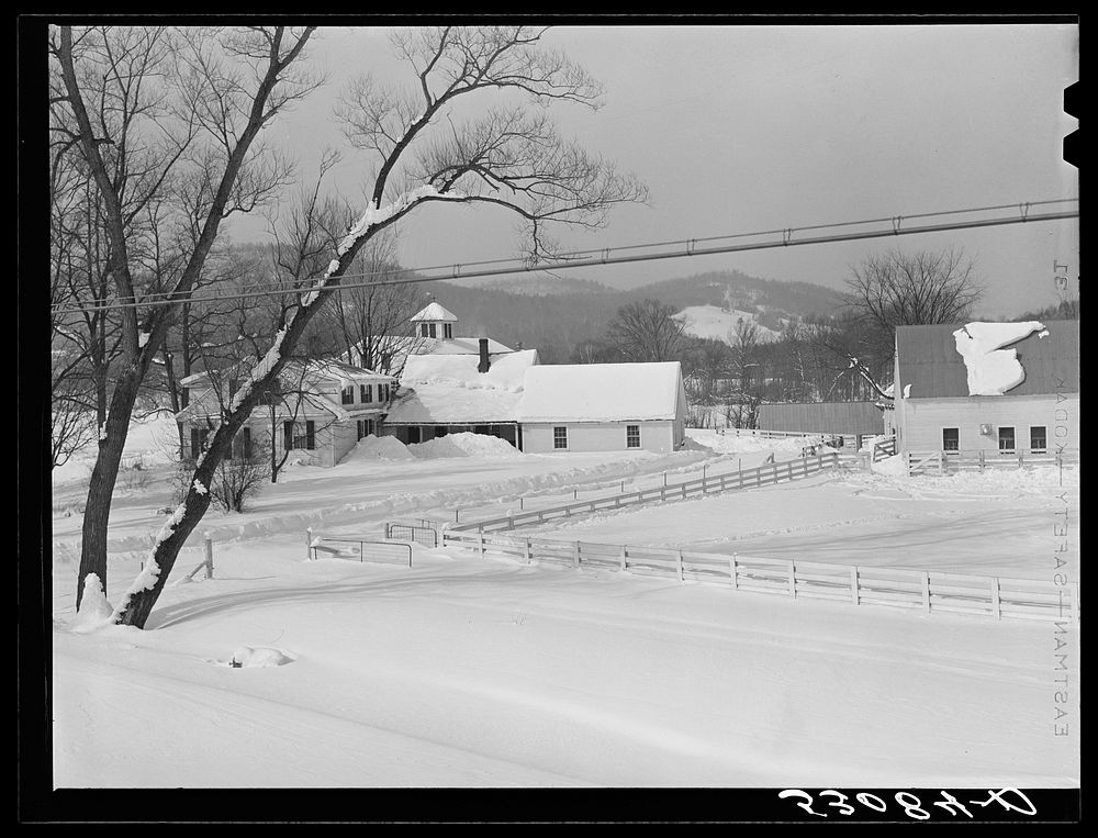 Suffolk Punch. Upwey horse farm | Free Photo - rawpixel