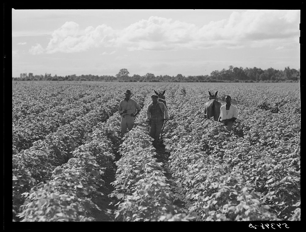 [Untitled photo, possibly related to: | Free Photo - rawpixel