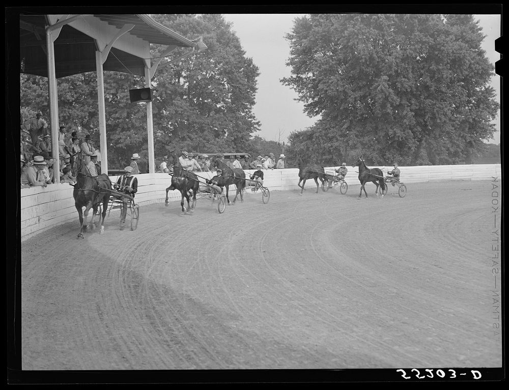 Sulky or harness races. Horse | Free Photo - rawpixel