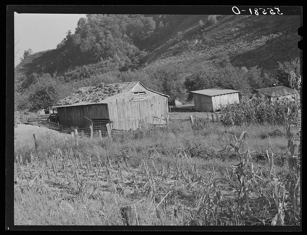 Corn shocks drying roof barn | Free Photo - rawpixel