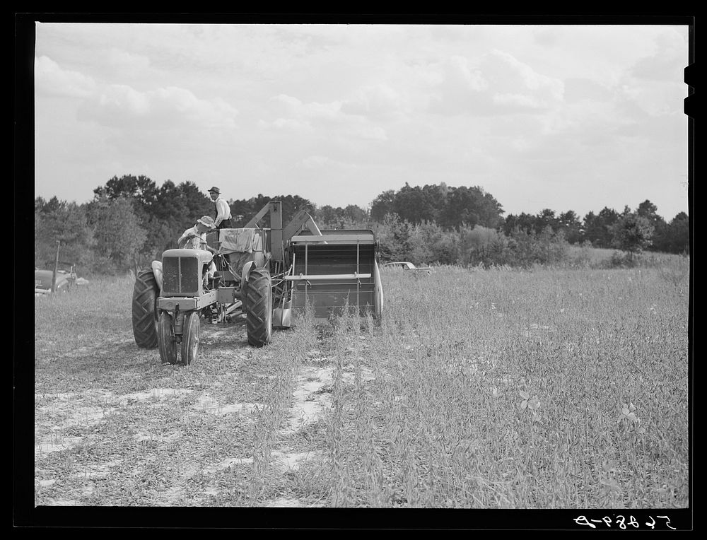 [Untitled photo, possibly related to: | Free Photo - rawpixel