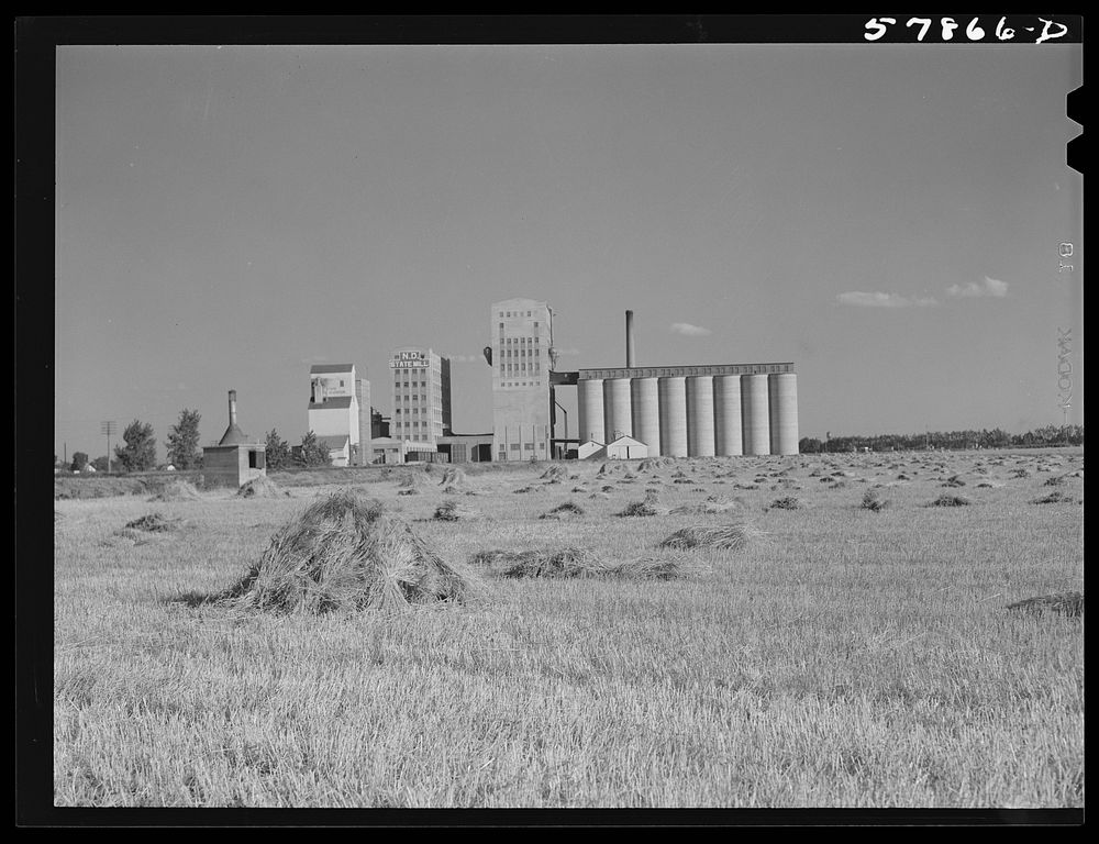 Stacks wheat field and flour | Free Photo - rawpixel
