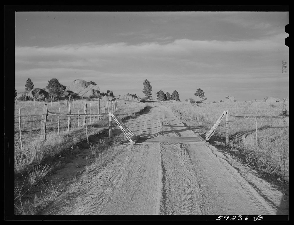 Cattle guard road range and | Free Photo - rawpixel