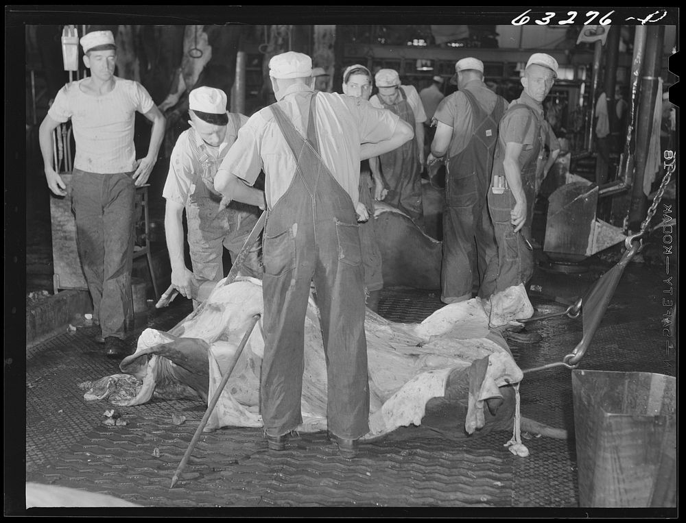 Skinning cow. Packing plant, Austin, | Free Photo - rawpixel
