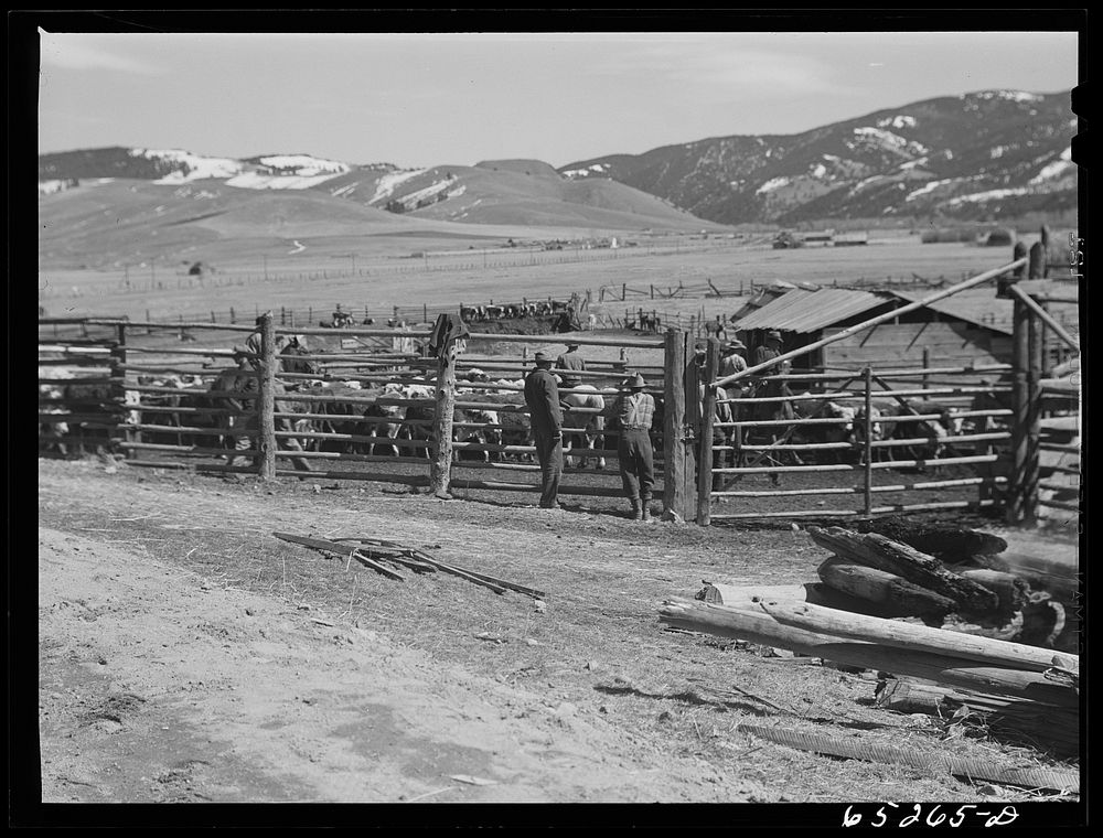 [Untitled photo, possibly related to: | Free Photo - rawpixel