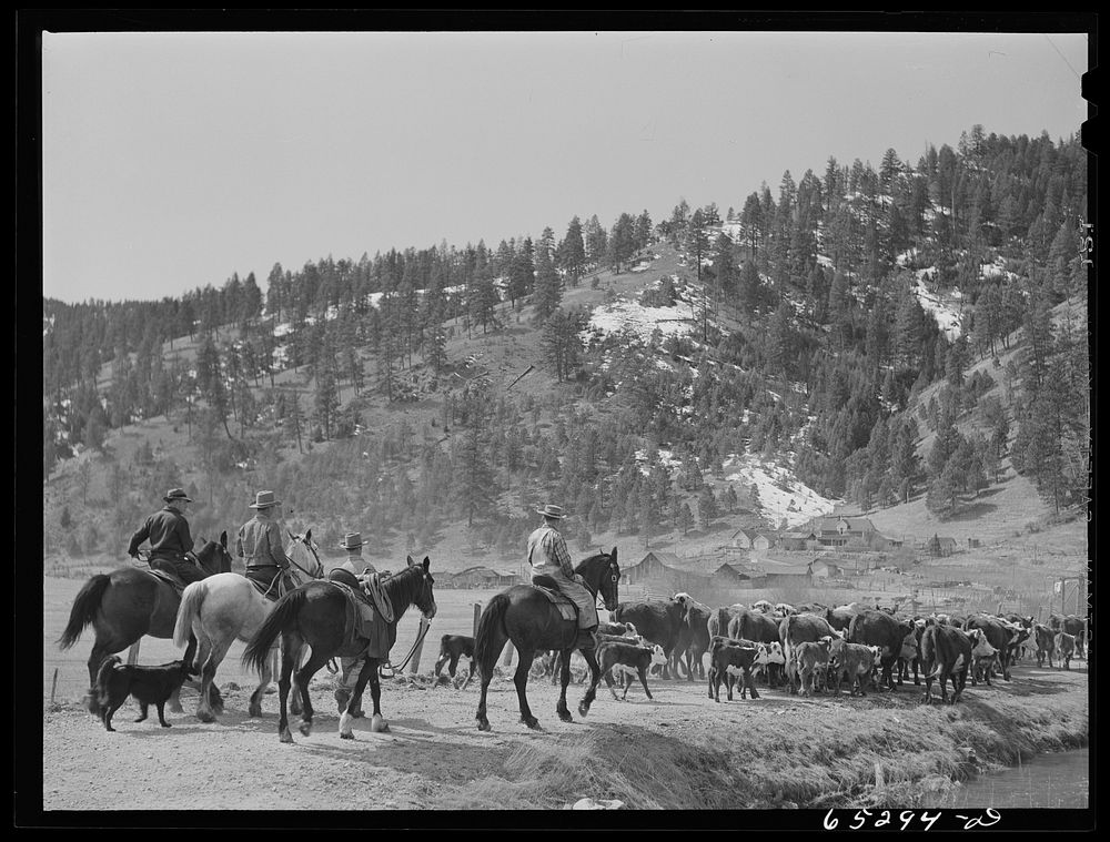 Bitterroot Valley, Ravalli County, Montana | Free Photo - rawpixel