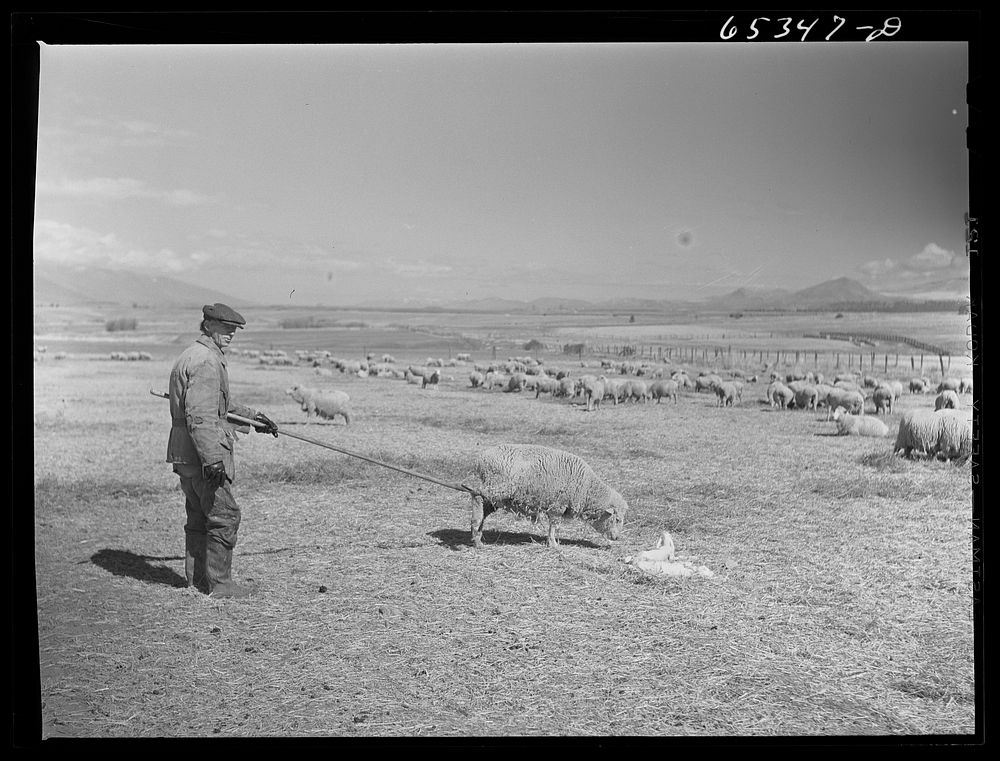 "[Untitled photo, possibly related to: | Free Photo - rawpixel