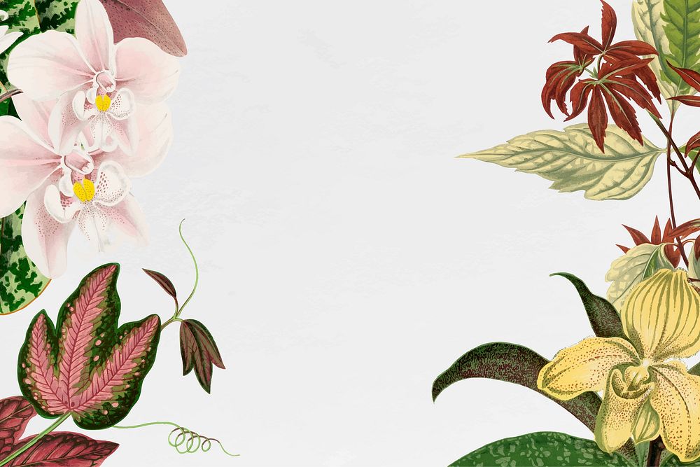 Aesthetic flower frame, floral illustration | Premium Vector - rawpixel