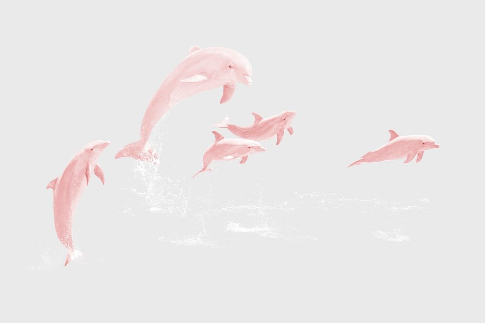 Pink dolphins sticker, sea animal | Premium PSD - rawpixel