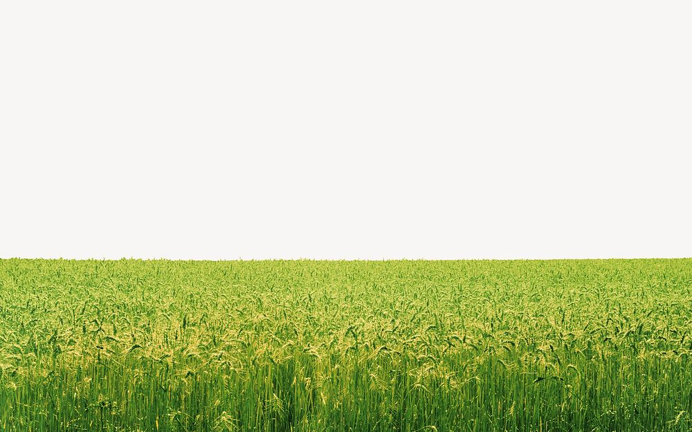 Green field border, nature landscape | Premium PSD - rawpixel