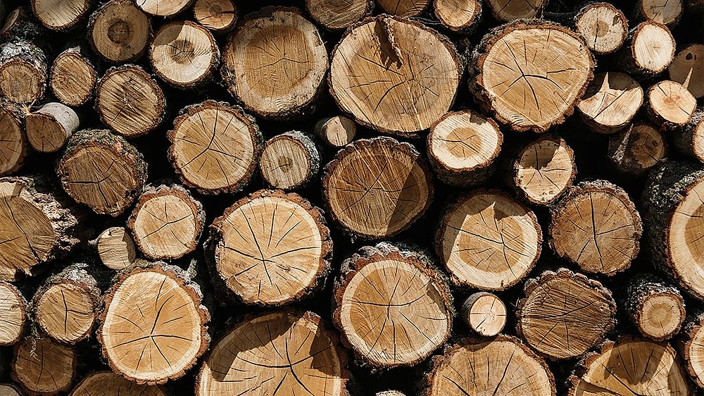 Stack of timber natural background | Premium Photo - rawpixel