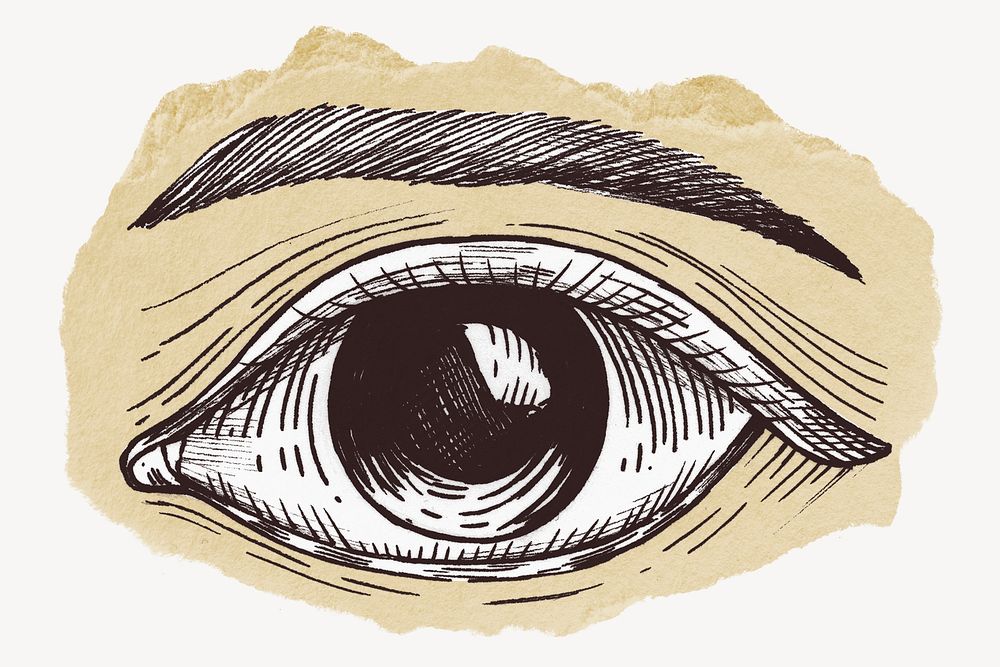Observing eye, ripped paper collage | Premium Photo - rawpixel