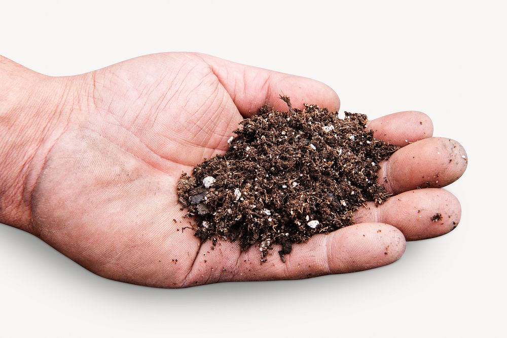 Soil on hand, environment isolated | Free Photo - rawpixel