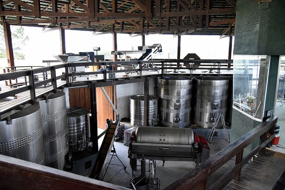 CdA. Savage visita Rivera | Free Photo - rawpixel