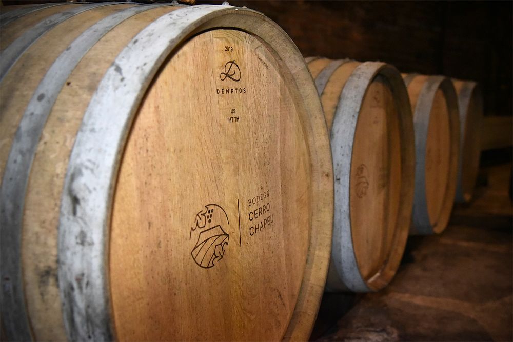 CdA. Savage visita Rivera | Free Photo - rawpixel