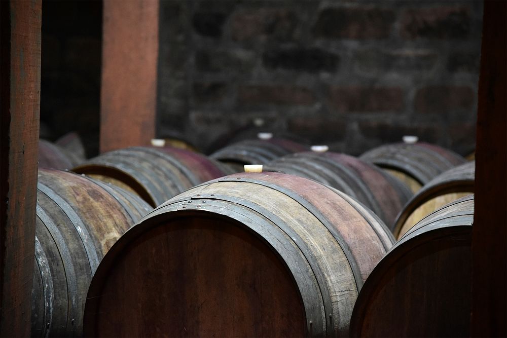 CdA. Savage visita Rivera | Free Photo - rawpixel