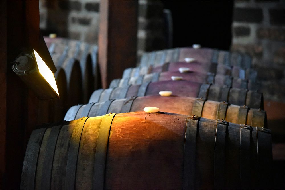 CdA. Savage visita Rivera | Free Photo - rawpixel