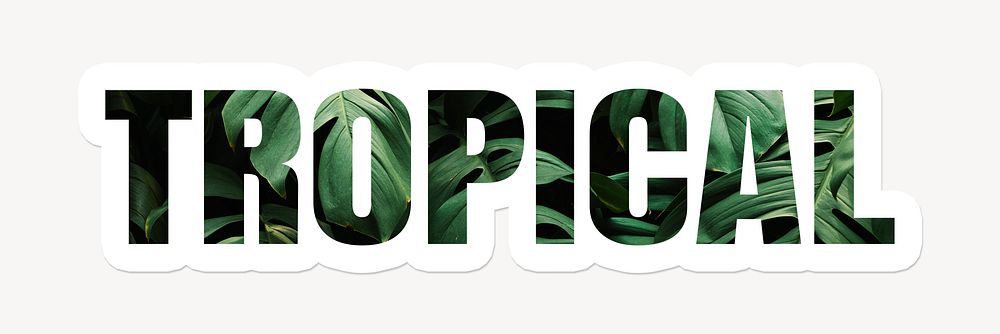 Tropical word typography, green jungle | Free Photo - rawpixel
