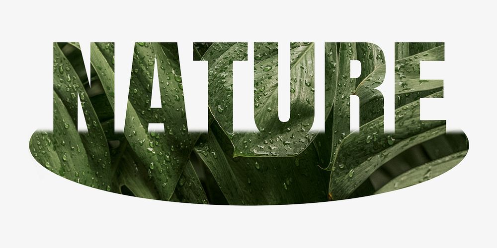Nature word, leaf design typography | Free Photo - rawpixel