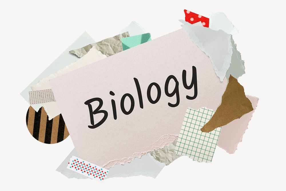 Biology word, aesthetic paper collage | Free Photo - rawpixel