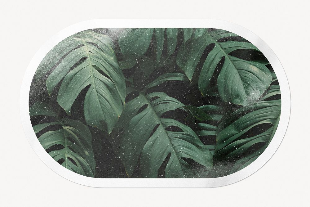 Green tropical leaves, oval rectangle | Free Photo - rawpixel