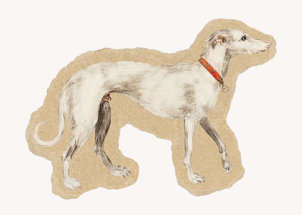 Greyhound dog collage element, animal | Premium PSD - rawpixel