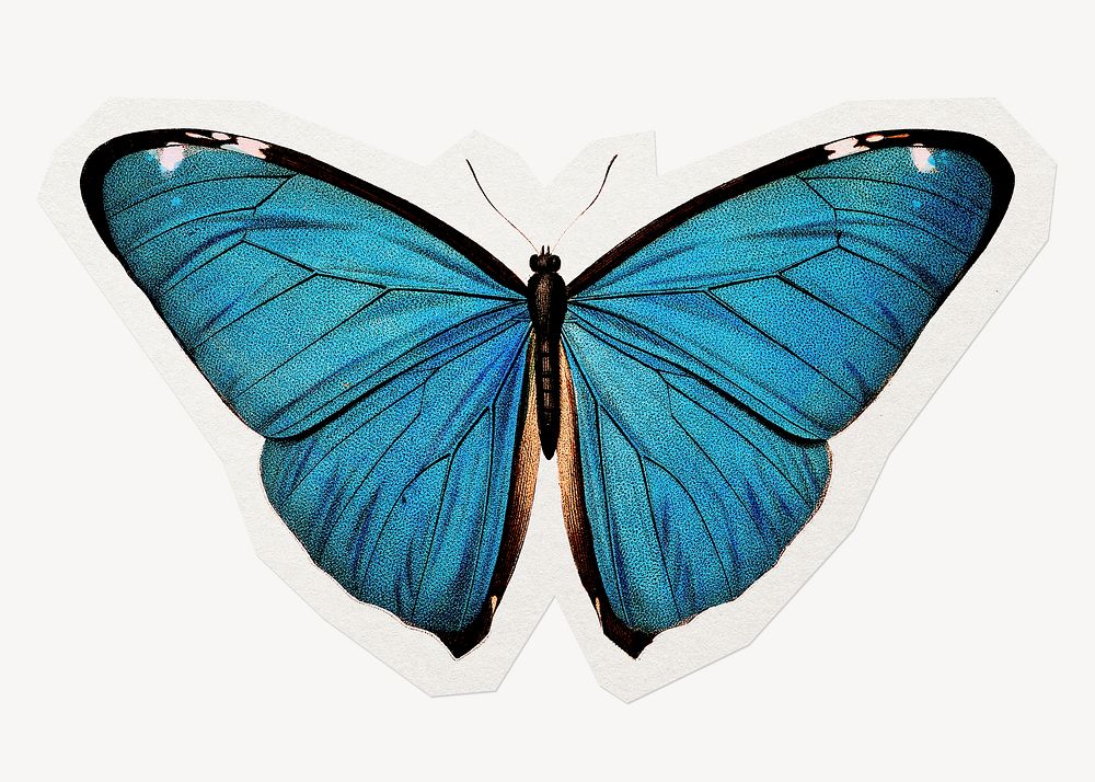 Blue butterfly sticker, beautiful collage | Premium Photo - rawpixel