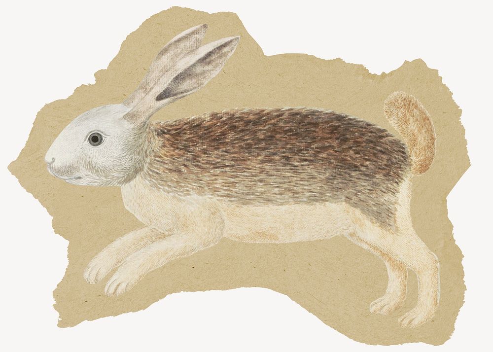Jumping rabbit illustration, ripped paper | Premium Photo - rawpixel