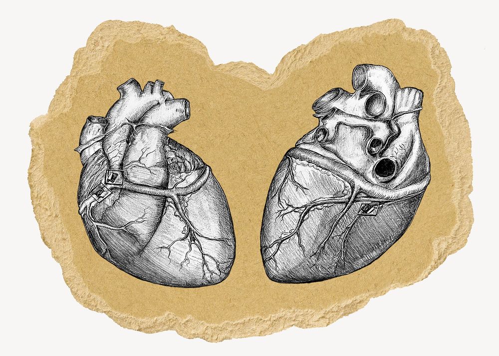 Realistic hearts, ripped paper collage | Premium Photo - rawpixel