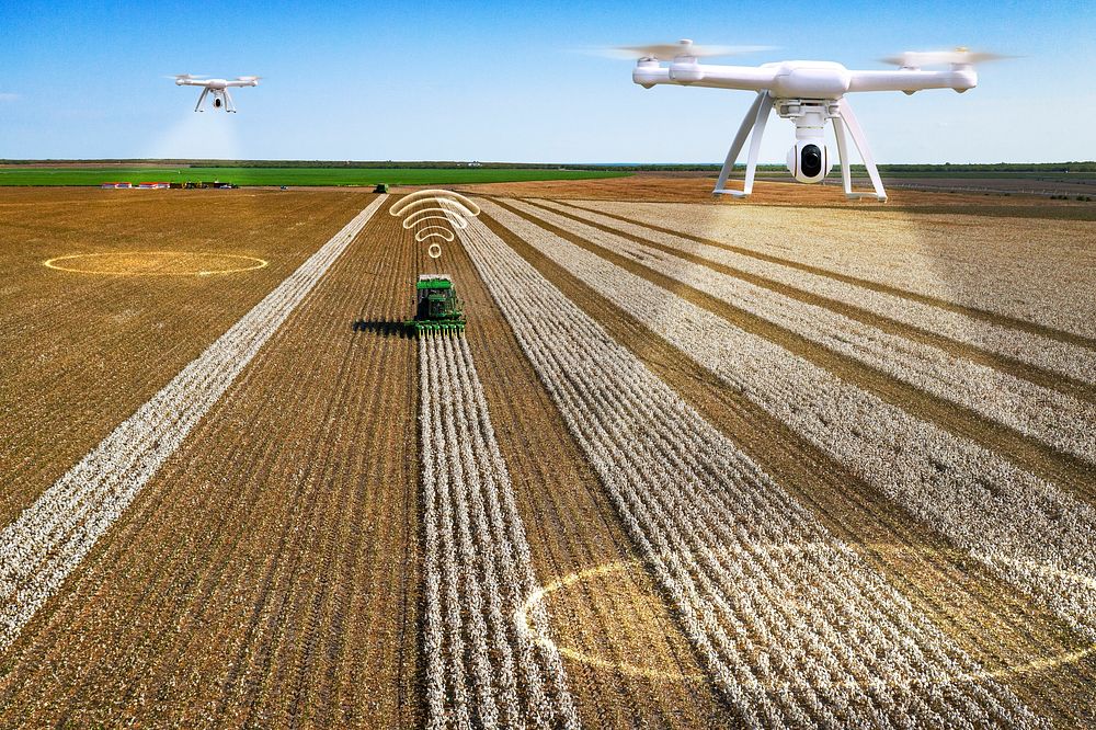 Digital agriculture, smart farming technology | Free Photo - rawpixel