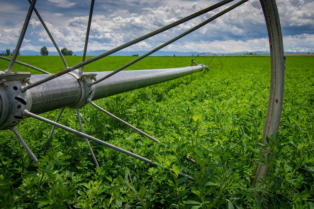 Flikkema farm grows alfalfa, barley, | Free Photo - rawpixel