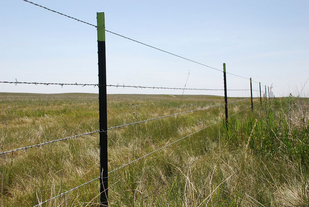 tribes Fort Peck Indian Reservation | Free Photo - rawpixel