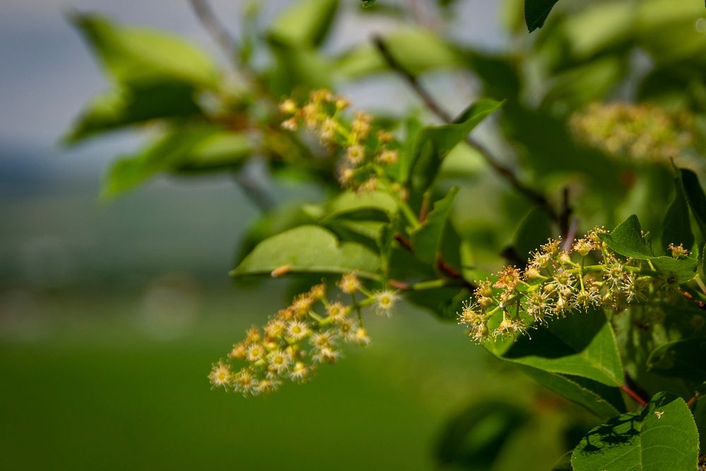 Leep Images | Free Photos, PNG Stickers, Wallpapers & Backgrounds ...