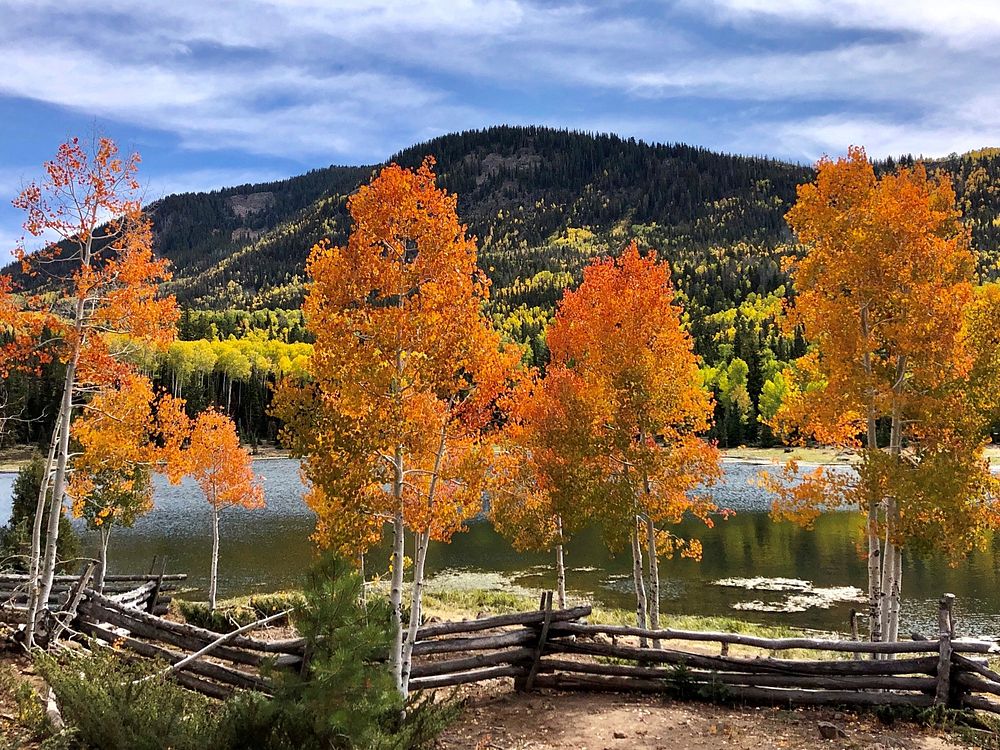 Fall 2019 Beaver Ranger District. | Free Photo - rawpixel