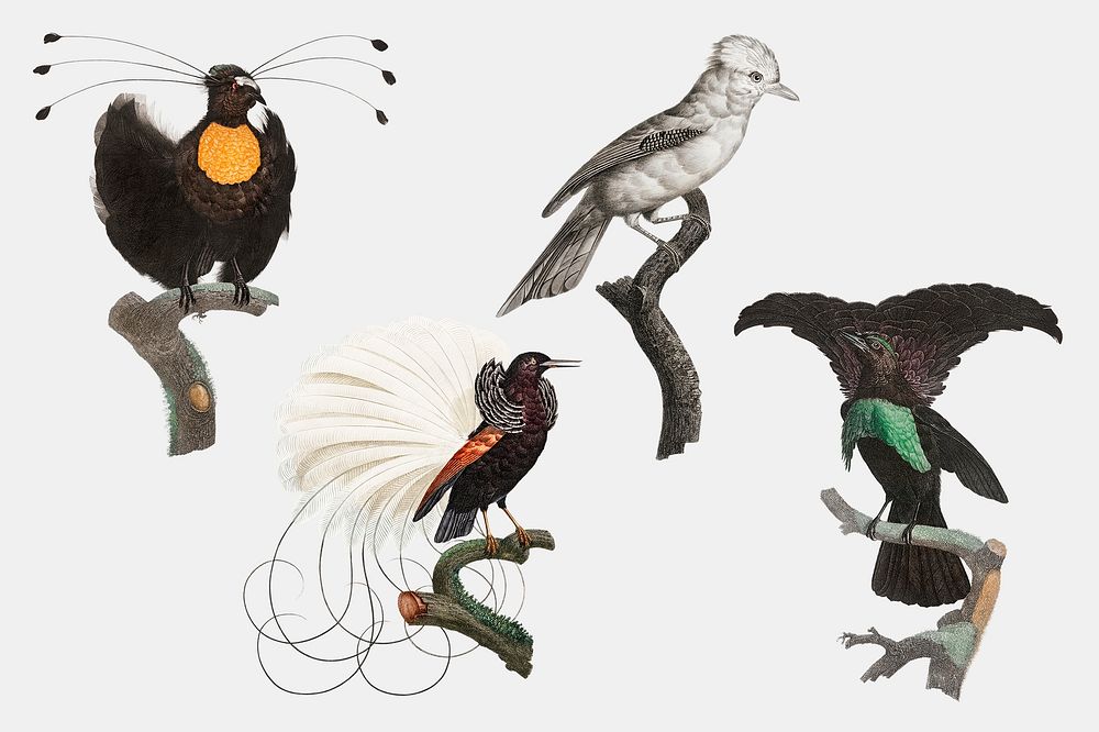 Vintage bird sticker psd hand | Premium PSD - rawpixel