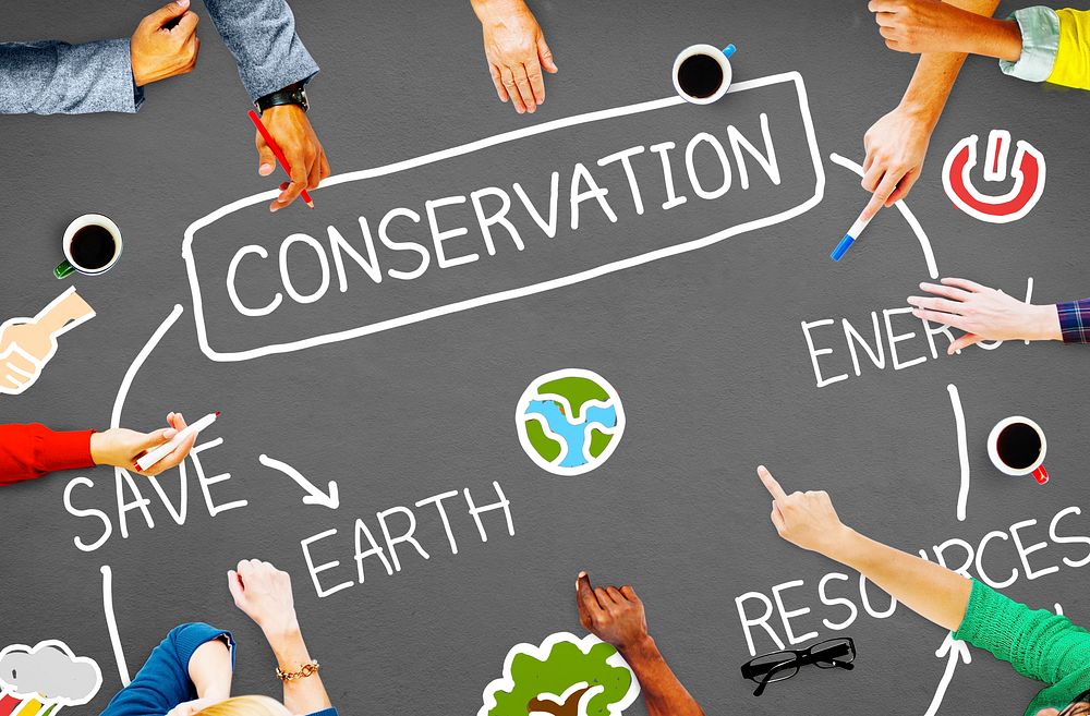 Conservation Environment Earth Ecology Concept | Free Photo - rawpixel